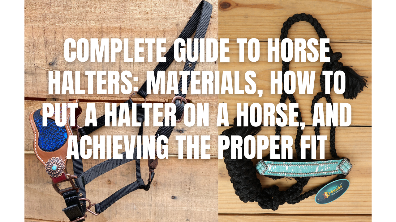 Guide to horse halters: materials, how to put on, and fit. Choose leather, nylon, or rope for ...