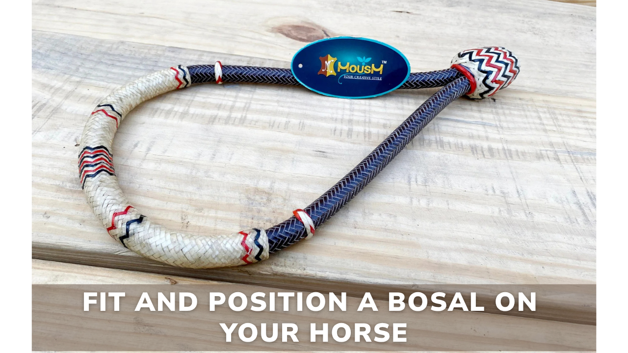 How to Properly Fit and Position a Bosal on Your Horse – Mousm