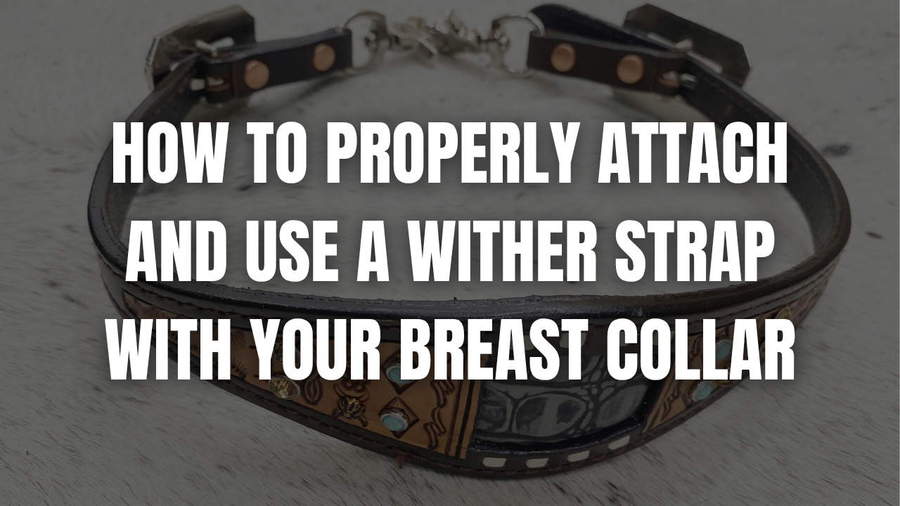 How to Properly Attach and Use a Wither Strap with Your Breast Collar ...