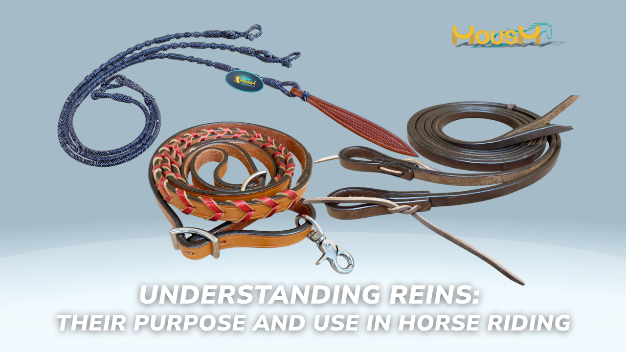 Understanding Reins: Their Purpose and Use in Horse Riding – Mousm