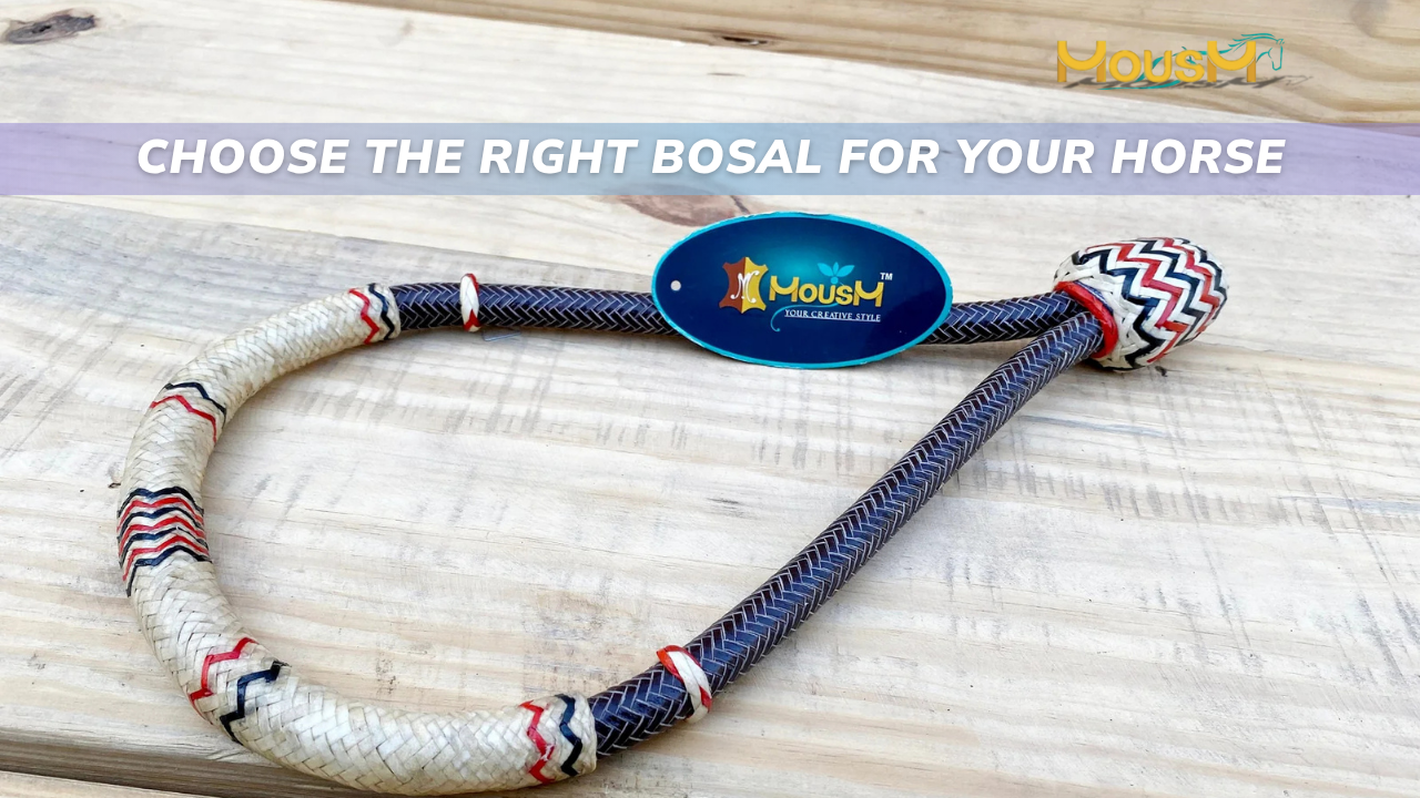 How to Choose the Right Size Bosal for Your Horse – Mousm